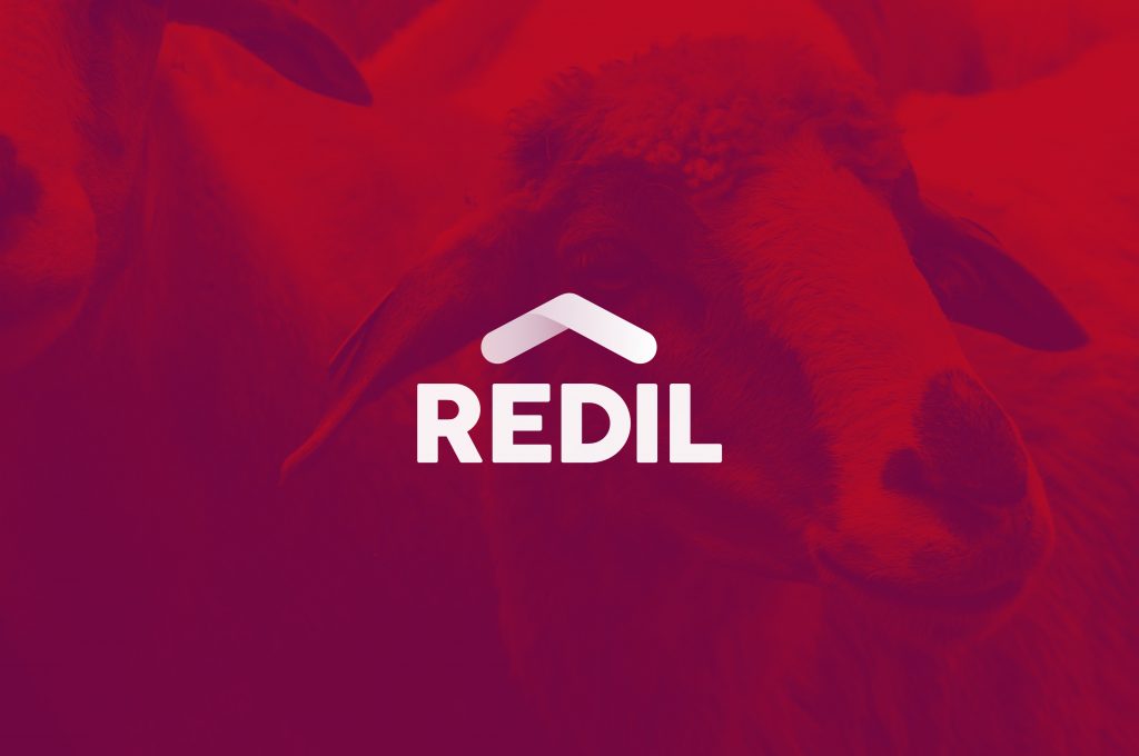 - gescanprogramasdecria