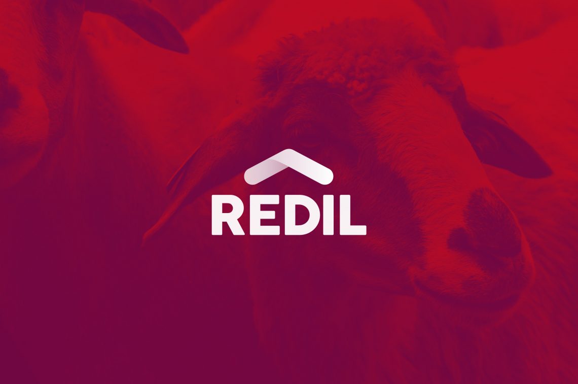 - gescanprogramasdecria