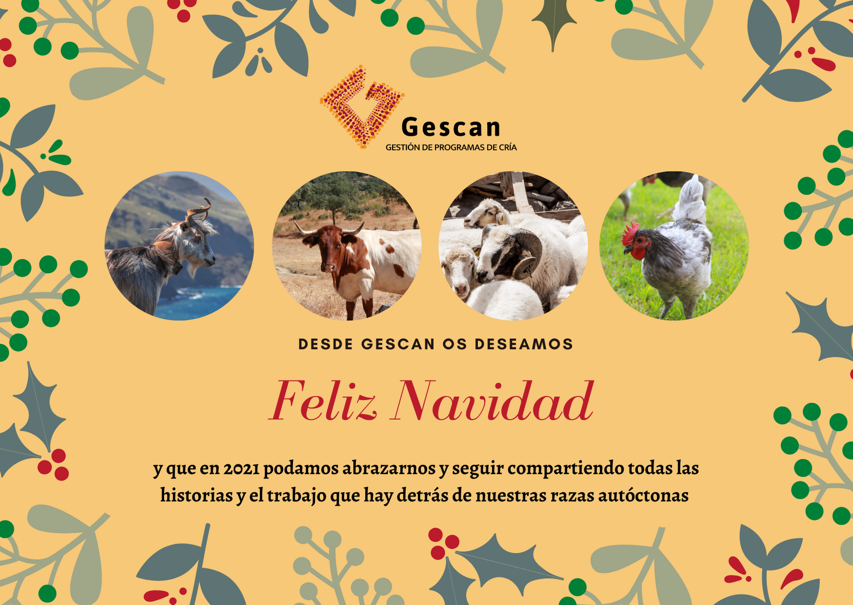 Gescan os desea Feliz Navidad - gescanprogramasdecria